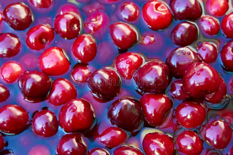 Cherries stock photo. Image of eating, water, bing, liquid - 9994178