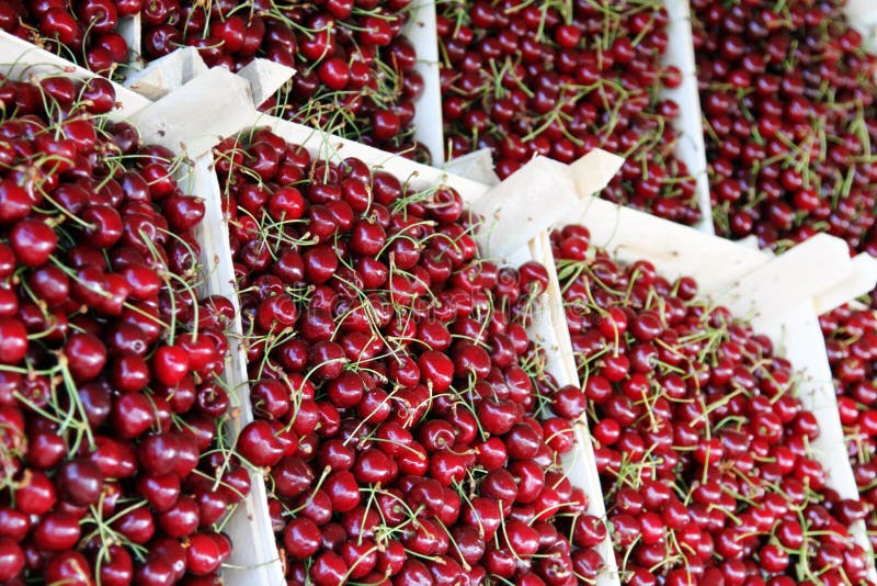 Cherries in Boxes at a Farmers Market Stock Photo - Image of market ...