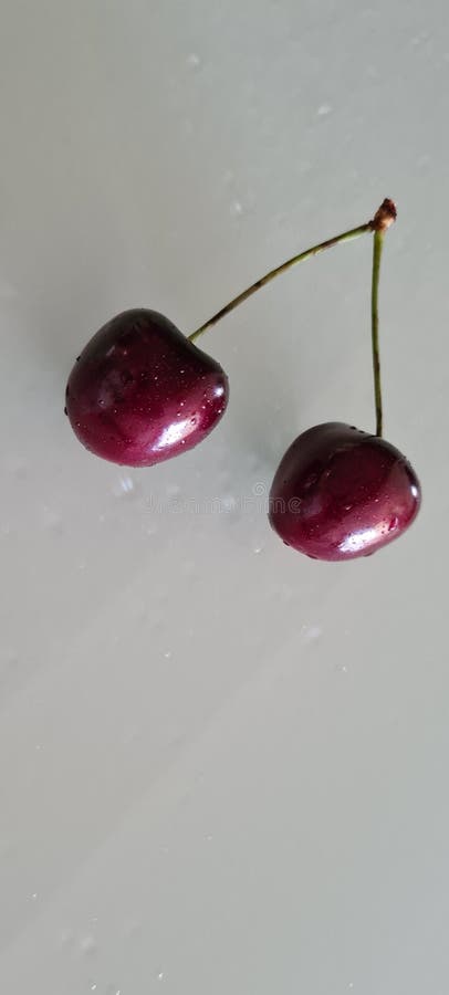 Cherries on a Branch on the Table, Dark-colored Cherries Stock Image ...