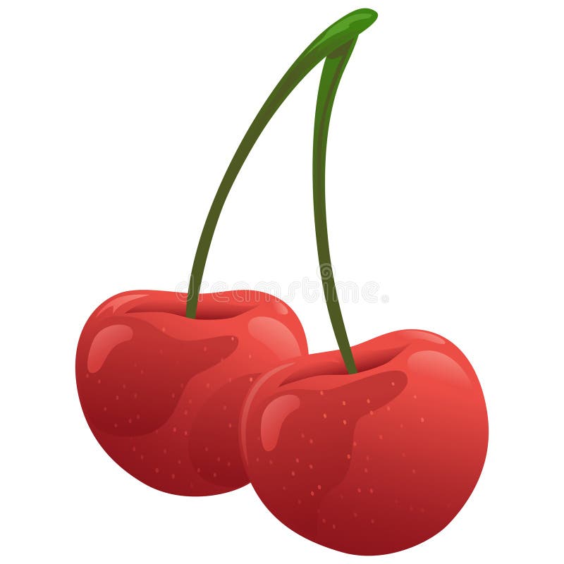 Cherries Cherry Fruit Illustration Vector Stock Vector - Illustration ...