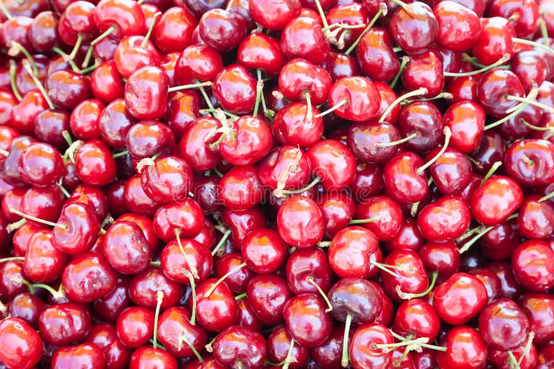 Cherries stock image. Image of cherries, food, healthy - 25204161