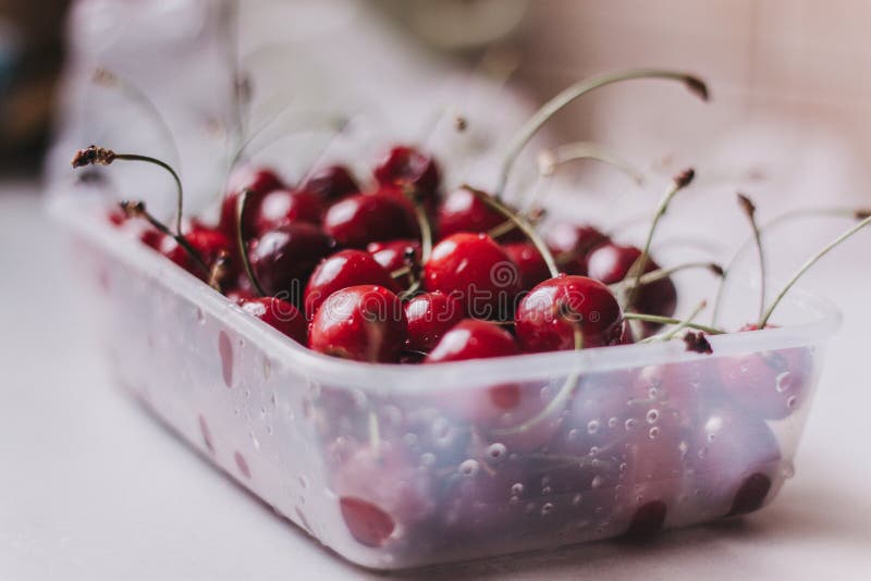 Cherries in a container stock image. Image of ripe, twigs - 98932749
