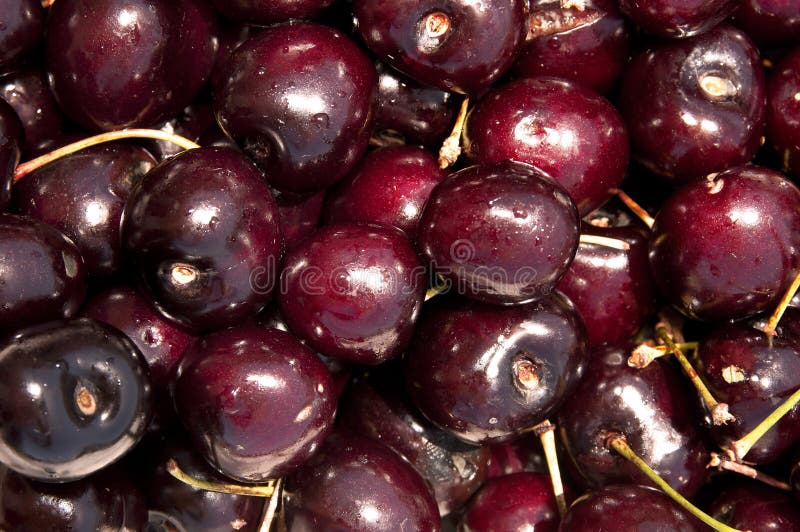Cherries stock image. Image of cherries, juicy, beautiful - 42962651