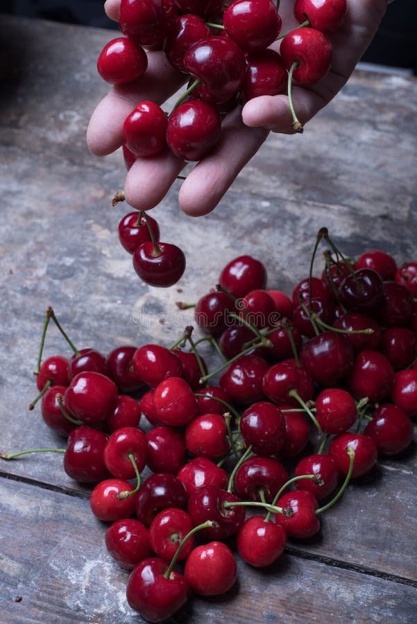 Cherries in hand 2 stock photo. Image of summer, cherries - 56399764