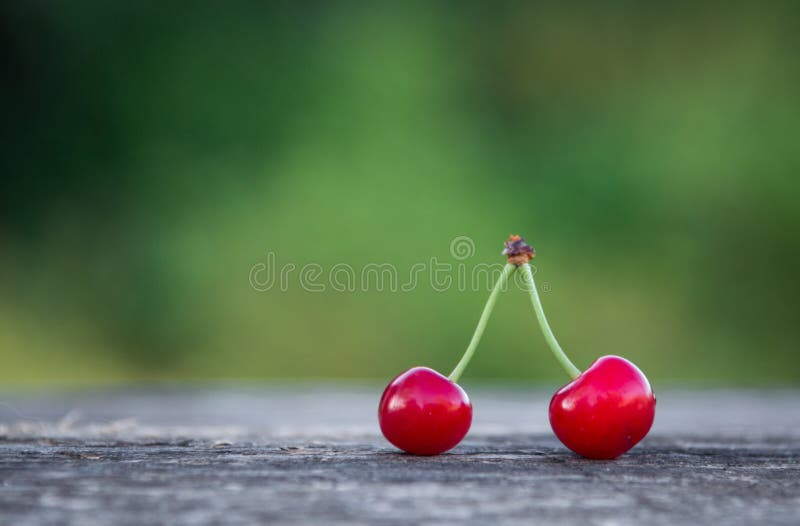 Cherries in the Open Air on the Background of Nature Stock Image ...