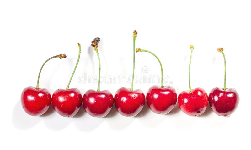 Cherries in a row stock image. Image of cherry, food - 72547093