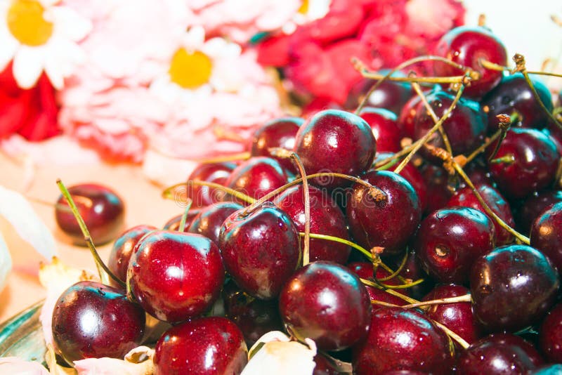 Cherries on a Silver Tray with Rose Petals Stock Image - Image of ...