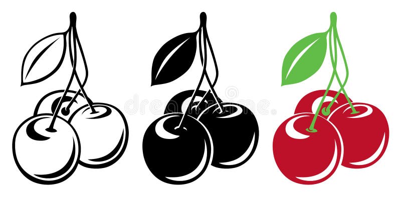 Cherries stock vector. Illustration of element, berry - 53026591