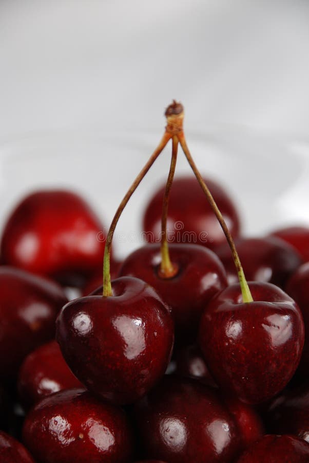 The cherry stock image. Image of cherry, fruits, closeup - 10118635