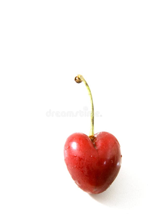 Single Black Cherry stock photo. Image of nutritious, nutrition - 1680114