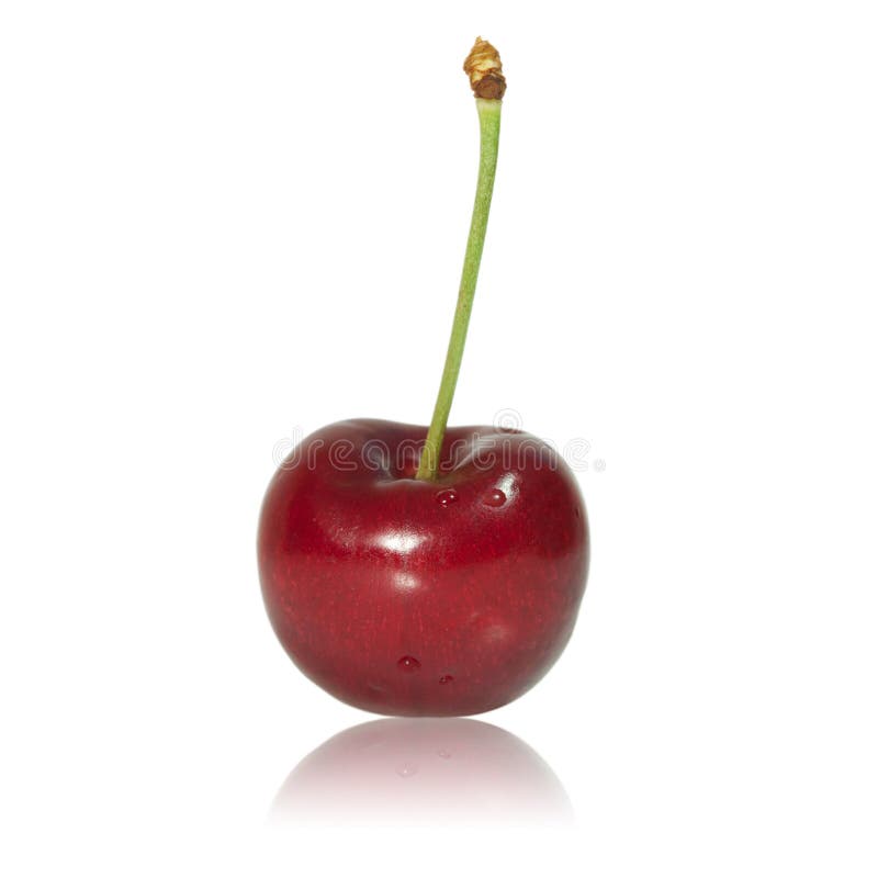 Cherry stock photo. Image of spring, juice, sweet, tasty - 231364