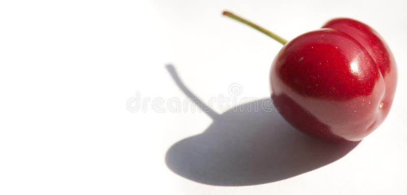 10,744 Cherry Shadow Stock Photos - Free & Royalty-Free Stock Photos ...