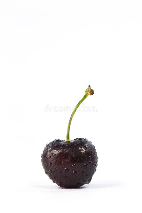 Single Black Cherry stock photo. Image of nutritious, nutrition - 1680114