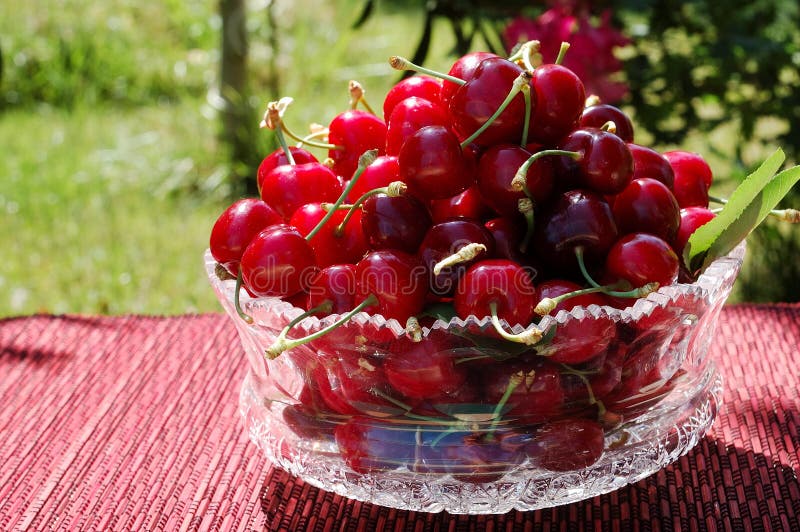 Shells stock photo. Image of environment, souvenir, makro - 932448