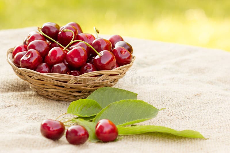 Cherry stock image. Image of ripe, gourmet, health, tempting - 25191441