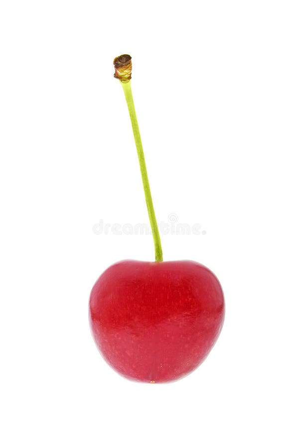 Cherry stock photo. Image of delicious, isolated, food, single - 58602