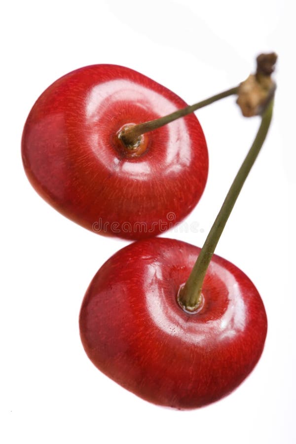 Two cherries on a branch. stock photo. Image of sweet - 1430976