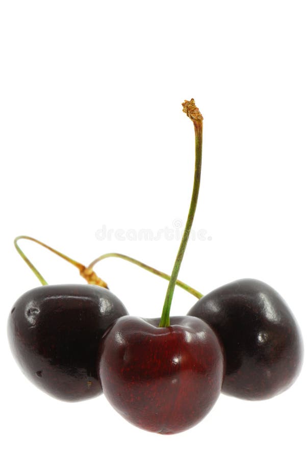 Cherry stock image. Image of sweet, mazzard, black, berry - 5590633