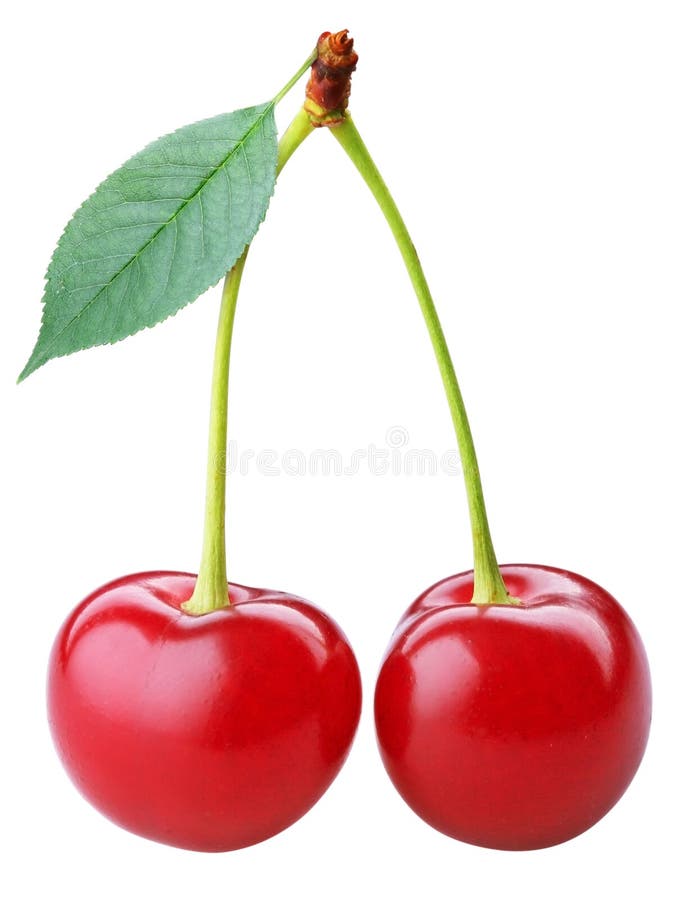 Whole and half cut cherry stock image. Image of closeup - 26354869