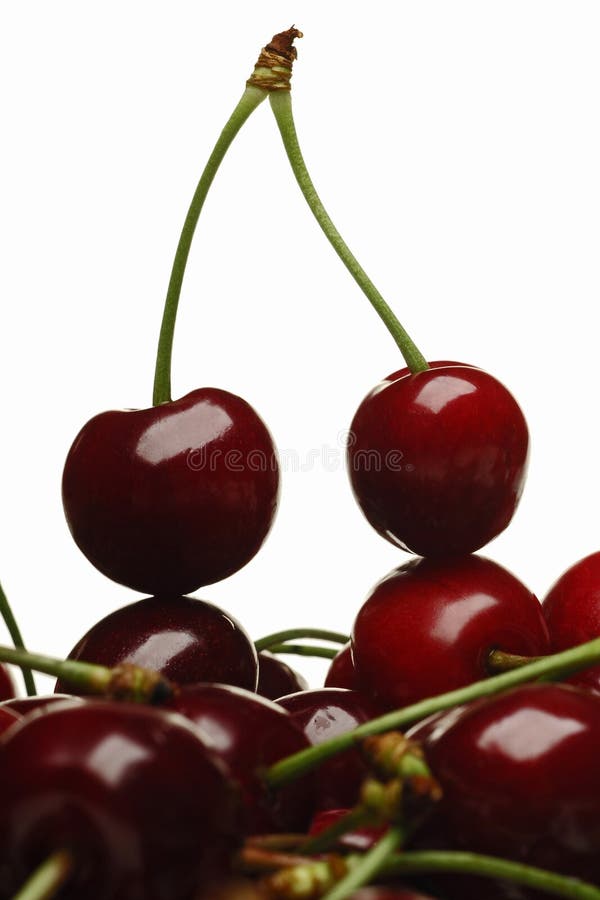 Cherry stock image. Image of fruit, elegant, kitchen, organic - 804167