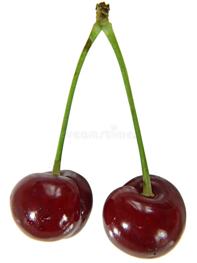 Cherry Chip Heart (isolated) Stock Photo - Image of small, chips: 649402