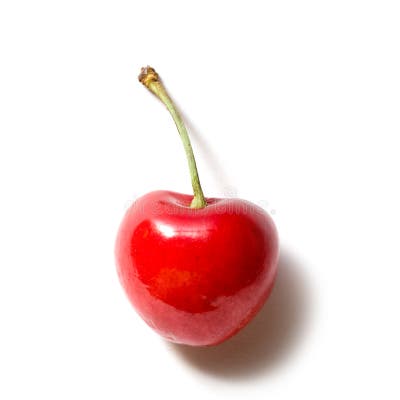 Cherry stock photo. Image of piece, organic, nature, background - 9740334
