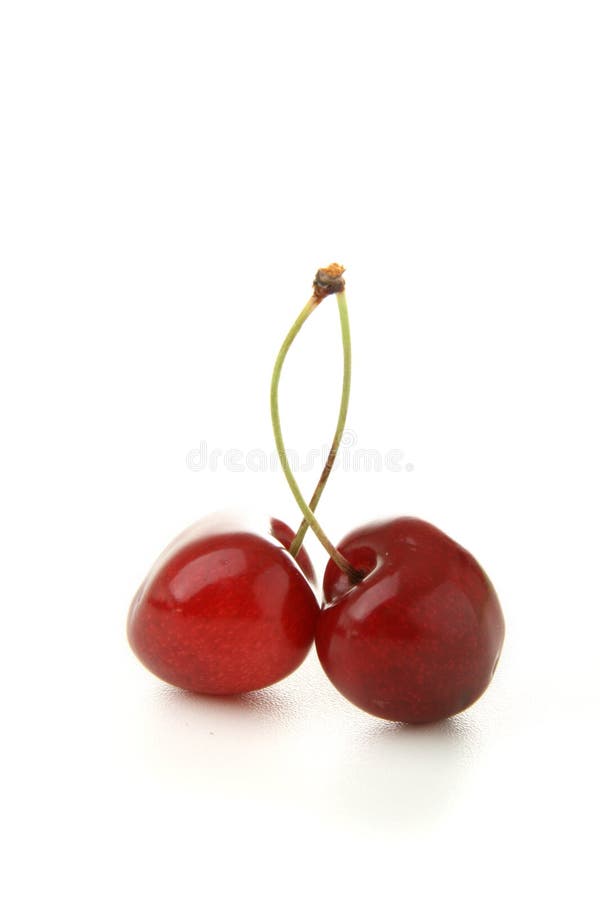 Single Black Cherry stock photo. Image of nutritious, nutrition - 1680114