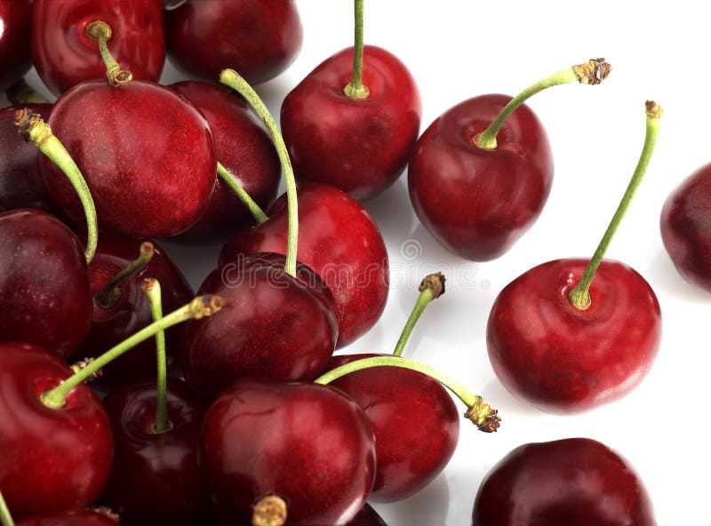 CERISE stock photo. Image of life, cerise, food, studio - 169897790