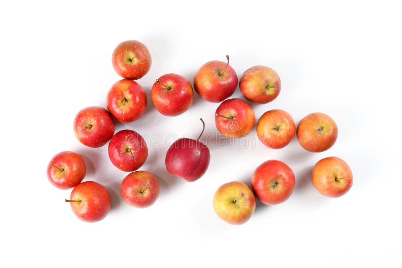 Small apple stock image. Image of apples, food, vegetarian - 61105945