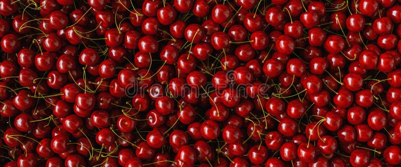 Cherry Background. Cherry Top View, Banner Size Stock Image - Image of ...