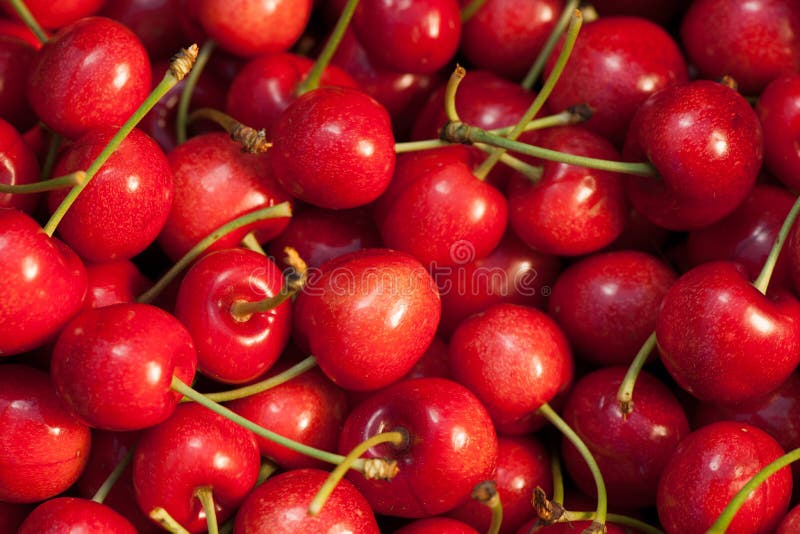 Cherry background texture stock image. Image of background - 49553421