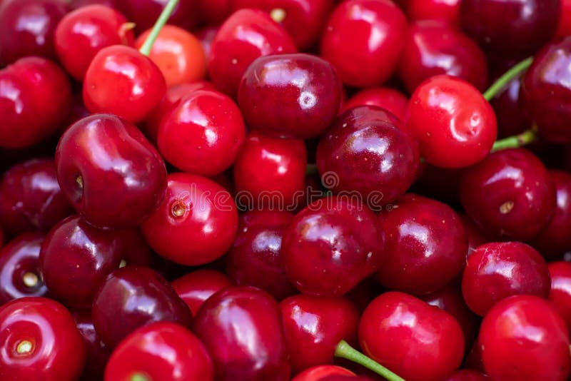 Cherry Background. Cherry Top View. Sour Cherry Flat Design Stock Image ...