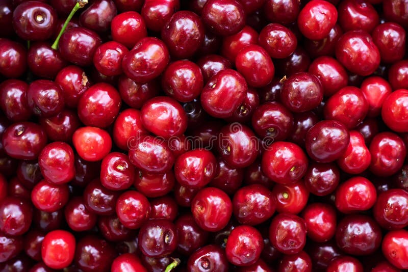 Cherry Background. Cherry Top View. Sour Cherry Flat Design Stock Photo ...