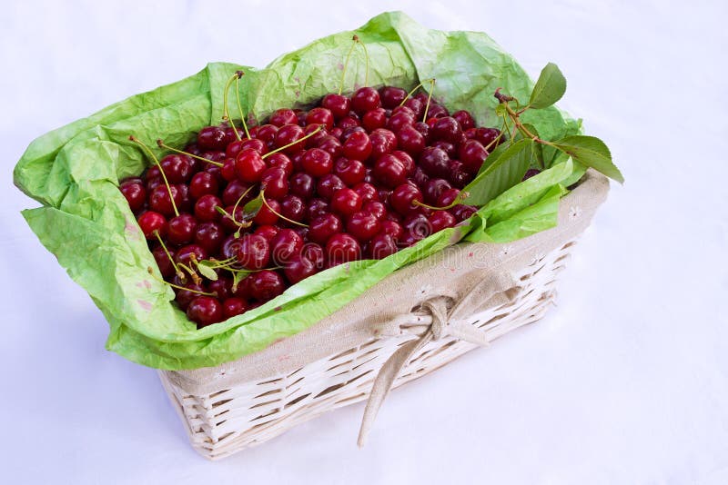 Cherry stock image. Image of cherries, fruit, nature - 32023165