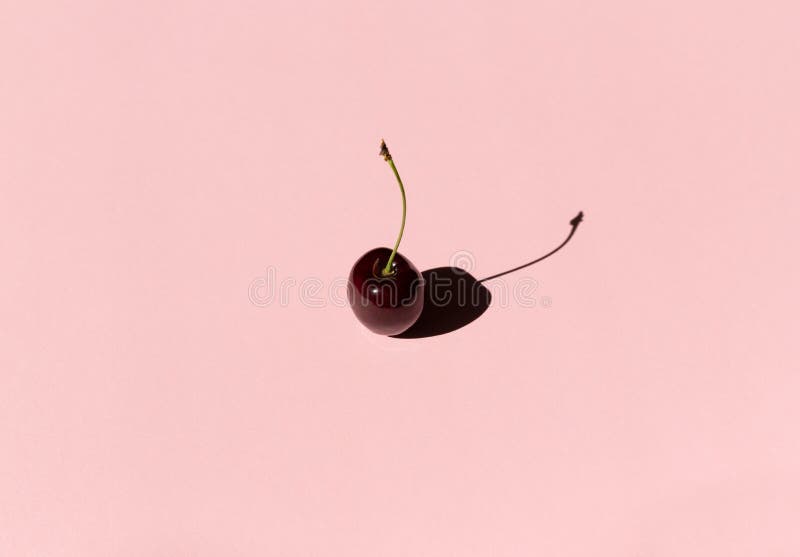 Cherry Berry on Pink Background in Sun Light Stock Photo - Image of ...