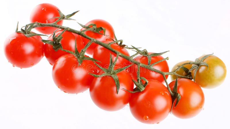 Cherry Berry Tomatoes stock image. Image of macro, single - 11119271
