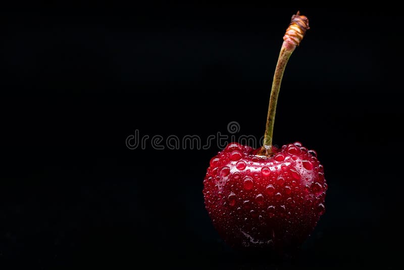 Cherry on Black Background with Reflection and Water Drops Stock ...