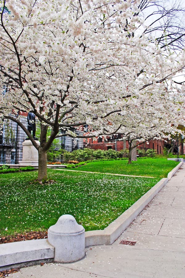 800 Spring Boston Public Garden Stock Photos - Free & Royalty-Free ...