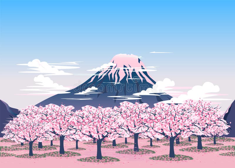 A Field Strewn with Petals on Which Cherry Blossom Trees Grow Stock ...