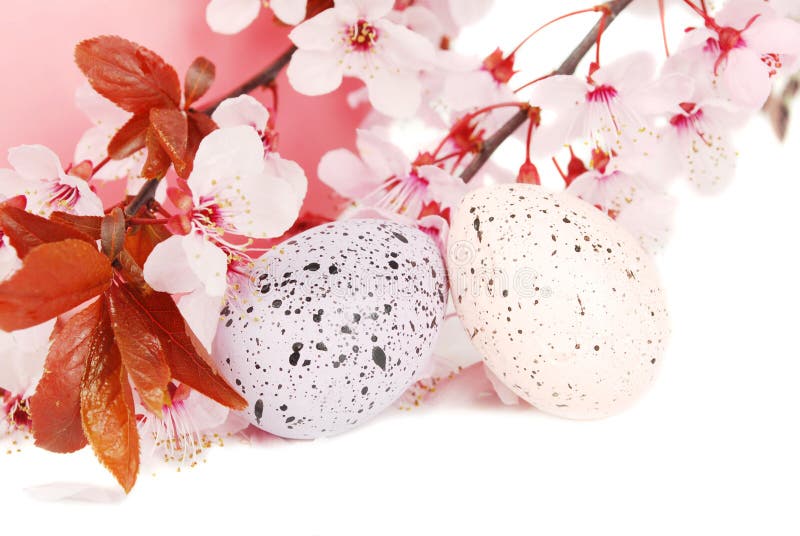 Cherry Blossom and Easter Eggs. Stock Photo - Image of holiday, cherry ...