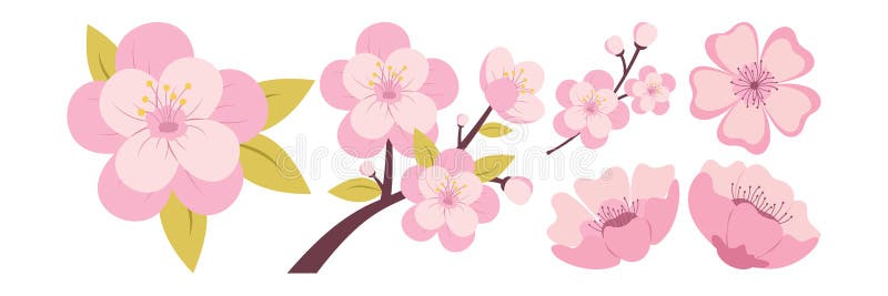 Cherry Blossom Flower Vector Illustrations Set Stock Vector ...