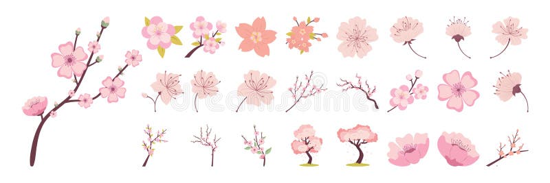 Cherry Blossom Flower Vector Illustrations Set Stock Vector ...