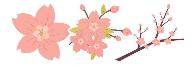 Cherry Blossom Flower Vector Illustrations Set Stock Vector ...