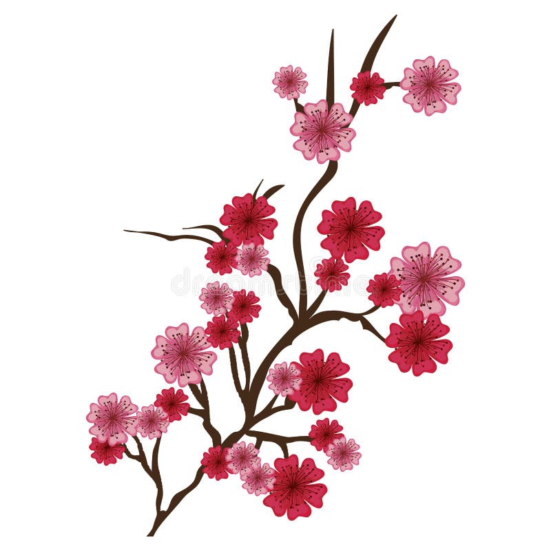 Cherry blossom icon iimage stock vector. Illustration of decorative ...