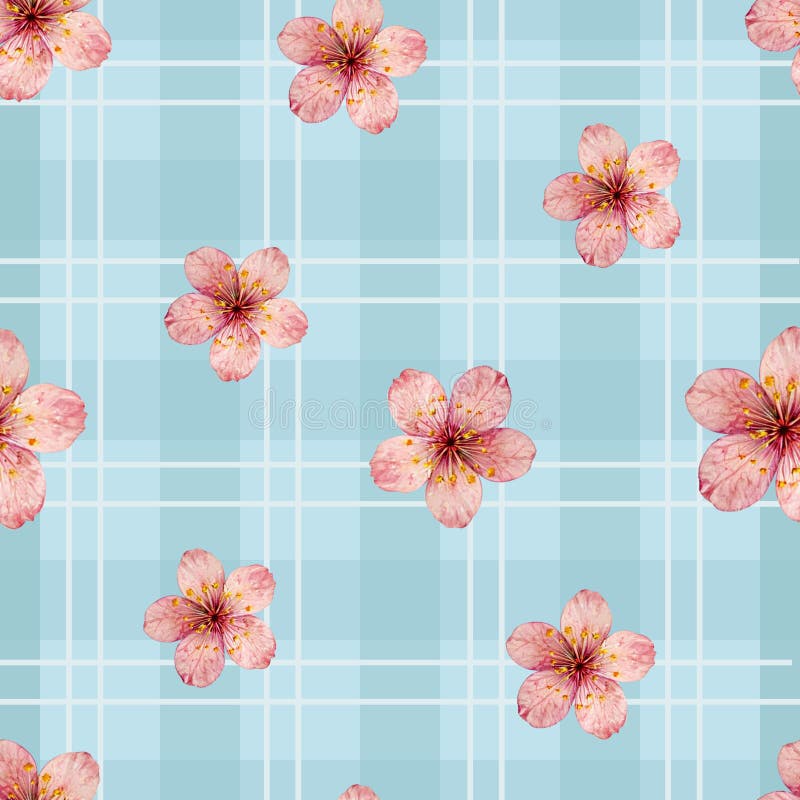 Cherry Blossom Motif on a Blue Checkered Background Stock Illustration ...