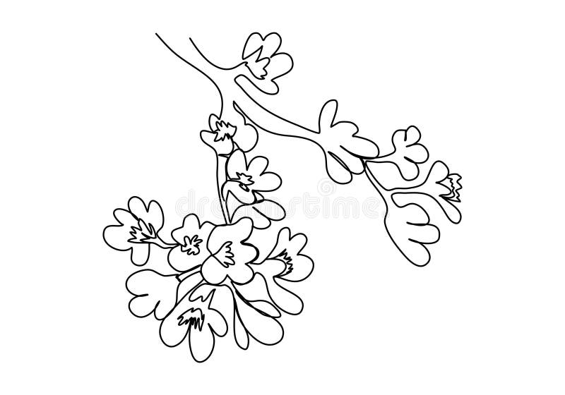Cherry Blossom, One Line Drawing Vector Illustration Stock Vector ...