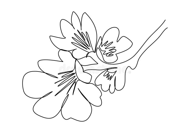 Cherry Blossom One Line Drawing Stock Illustrations – 156 Cherry ...