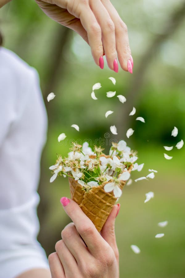 Cherry Blossom Ice Cream in Spring Stock Photo - Image of green, cone ...