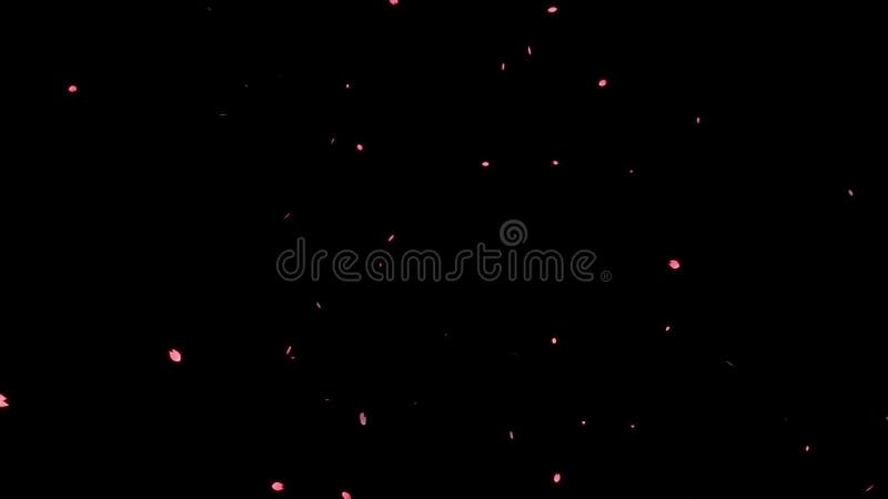 Cherry Blossom Petals Falling Particle Motion Graphics Stock Footage ...