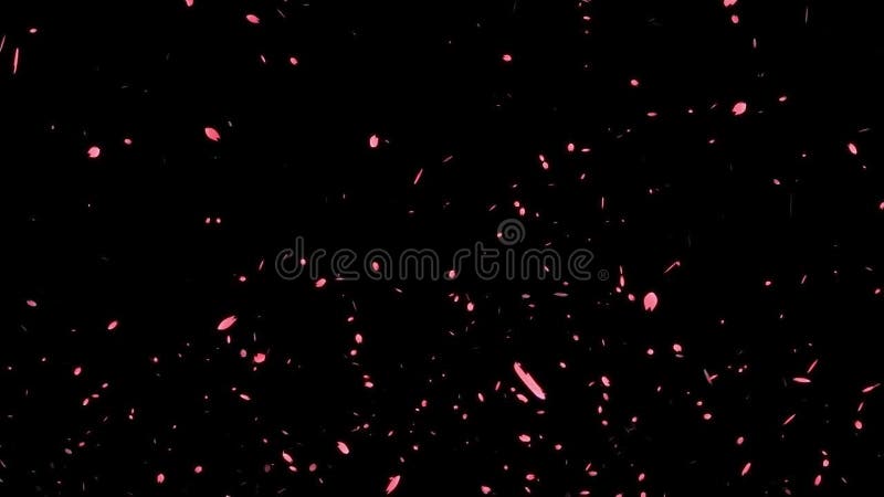 Cherry Blossom Petals Falling Particle Motion Graphics Stock Footage ...